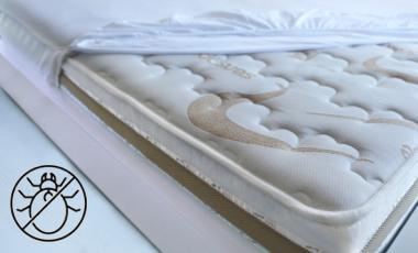 Matratzen und Milben: Was tun gegen den Befall? | BAUR